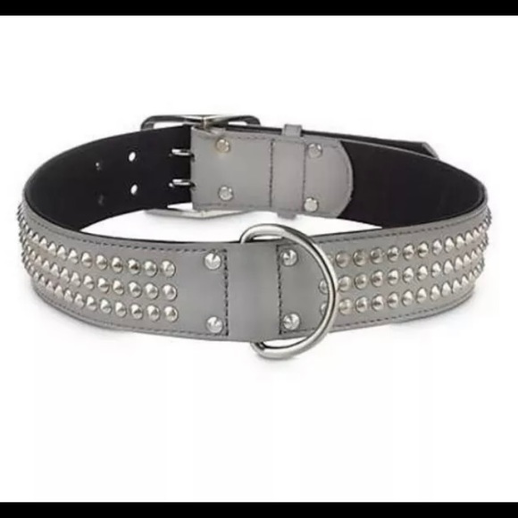 Bond & Co | Dog | Petco Collar Big Dogs Xxl Xxxl Genuine Leather Wstuds ...